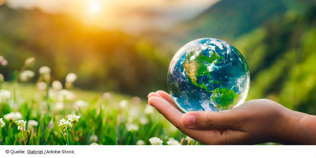 Fürs Klima spenden und CO2 kompensieren – so geht’s ...